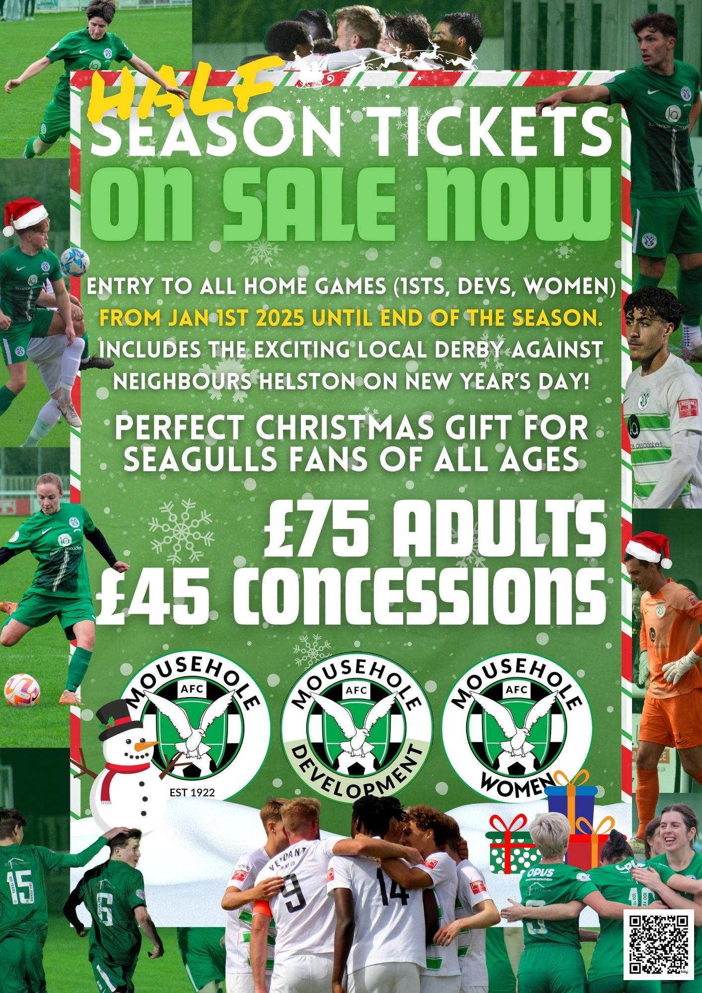 PERFECT SEAGULL CHRISTMAS GIFT - THE HALF-SEASON TICKET - MOUSEHOLE AFC