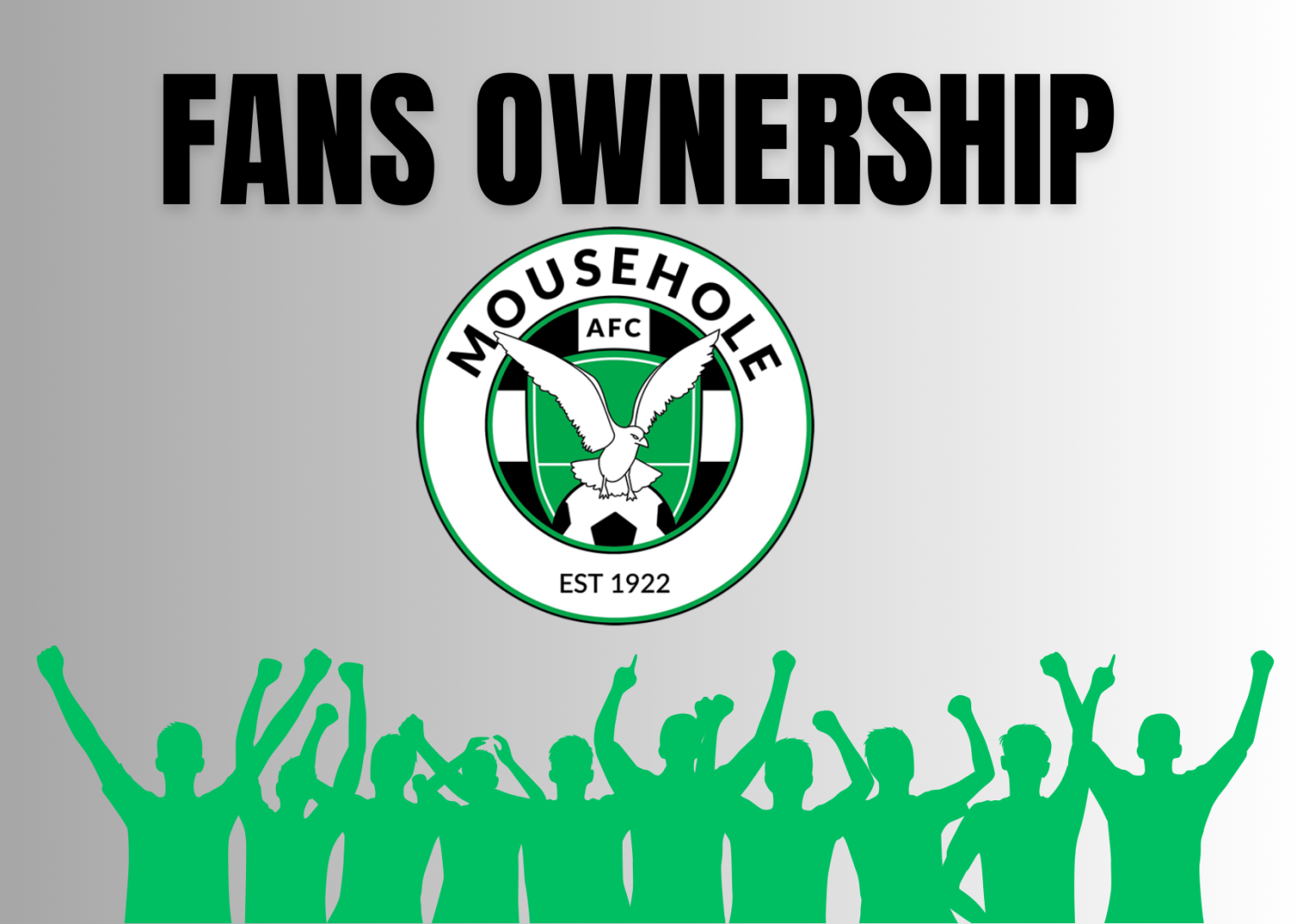 MOUSEHOLE INVESTIGATING FANS OWNERSHIP - MOUSEHOLE AFC